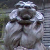 Lost Star : The Search for Amelia Earhart by Randall Brink | Goodreads