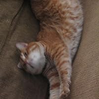 Caesar's Messiah: The Roman Conspiracy to Invent Jesus by Joseph Atwill ...