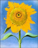 No Ordinary Assignment by Jane Ferguson | Goodreads