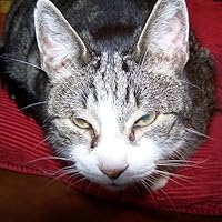 Maria Rosa Henson: Comfort Woman, Slave of Destiny by Maria Rosa Henson ...