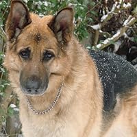 By Reason of Insanity (Rediscovered Classics) by Shane Stevens | Goodreads