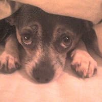 One Grain of Rice: A Mathematical Folktale by Demi | Goodreads