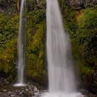 Red Hot Salsa: Bilingual Poems on Being Young and Latino in the United ...