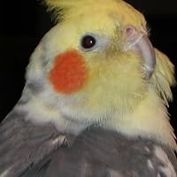 False Dawn by Chelsea Quinn Yarbro | Goodreads