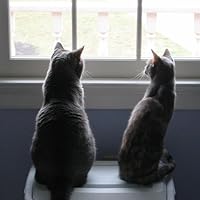 The Contest (Everest, #1) by Gordon Korman | Goodreads