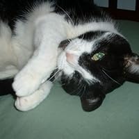 The Diagnosis by Alan Lightman | Goodreads