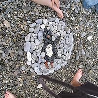 Un Papillon dans la Cité by Gisèle Pineau | Goodreads