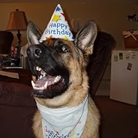 Sunstroke by Jesse Kellerman | Goodreads