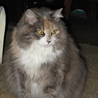 The Revenant by Michael Punke | Goodreads