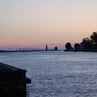 The Hodgeheg by Dick King-Smith | Goodreads