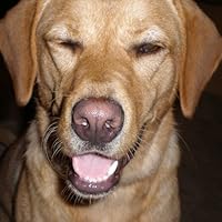 I Am Regina by Sally M. Keehn | Goodreads