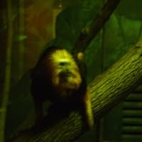 Jacob's Rescue: A Holocaust Story by Malka Drucker | Goodreads