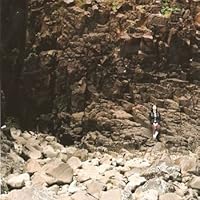 M-A-C-N-O-L-I-A by A. Van Jordan | Goodreads