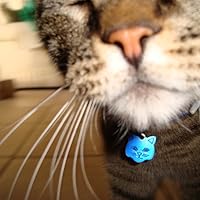 Reflections by Ann Jonas | Goodreads