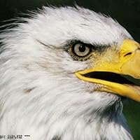 Four Steps to Death by John Wilson | Goodreads