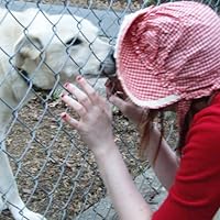 Sexual Solipsism: Philosophical Essays on Pornography and Objectification by Rae Langton | Goodreads