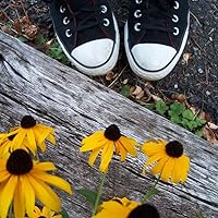 Miz Berlin Walks by Jane Yolen | Goodreads