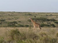The Good Old Days: The Holocaust as Seen by Its Perpetrators and Bystanders by Ernst Klee ...