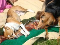 She's So Money by Cherry Cheva | Goodreads