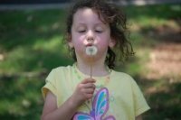 An American Knight: The Life of Colonel John W. Ripley, USMC by Norman ...