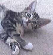 Letters from the Inside by John Marsden | Goodreads