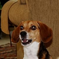 My Teacher Likes to Say by Denise Brennan-Nelson | Goodreads