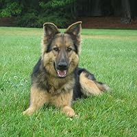 61 Hours (Jack Reacher, #14) by Lee Child | Goodreads