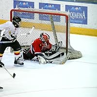 Flee North: A Forgotten Hero and the Fight for Freedom in Slavery's ...