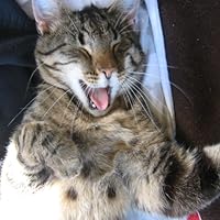 Losing It by Sandy McKay | Goodreads