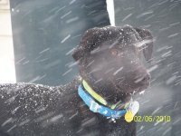 Crow Mary by Kathleen Grissom | Goodreads