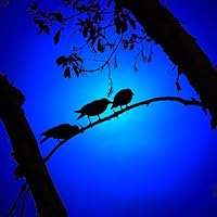 Tall, Dork and Handsome by Remy Richard | Goodreads