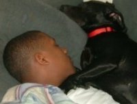 Bonnie (Eve Duncan, #14; Eve, Quinn and Bonnie #3) by Iris Johansen ...