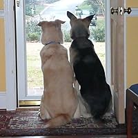 Missile Mouse #1 The Star Crusher by Jake Parker | Goodreads