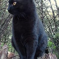 The Light Between Oceans by M.L. Stedman | Goodreads