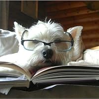 Across the Barricades (Oxford Modern Playscripts) by Joan Lingard ...