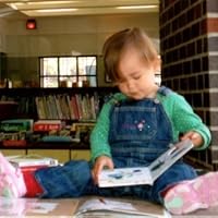 Shade: Planting Solutions for Shady Gardens by Keith Wiley | Goodreads