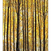 Body Leaping Backward: Memoir of a Delinquent Girlhood by Maureen ...