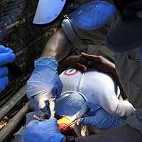 Final Salute: A Story of Unfinished Lives by Jim Sheeler | Goodreads