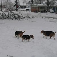 The Night Porter (Night Porter, #1) by Sue Brown | Goodreads