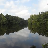 By Reason of Insanity (Rediscovered Classics) by Shane Stevens | Goodreads