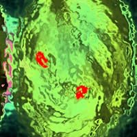 Raymond and Graham Rule the School by Mike Knudson | Goodreads