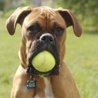 Five Against One by Kim Neely | Goodreads