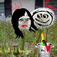 Mandie and the Forbidden Attic (Mandie, #4) by Lois Gladys Leppard ...