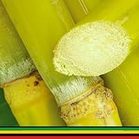 Over Our Way (Horizons S) by Jean D'Costa | Goodreads