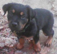 Close Range (Kate Fox #9) by Shannon Baker | Goodreads