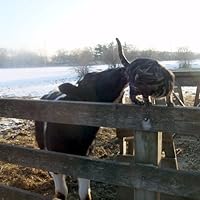 Revenge (Jason Steed, #2) by Mark A. Cooper | Goodreads