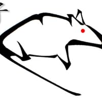 By Reason of Insanity (Rediscovered Classics) by Shane Stevens | Goodreads