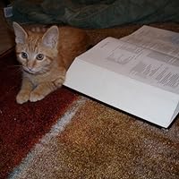 Borne (Borne, #1) by Jeff VanderMeer | Goodreads