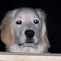 Forbidden Love by Maura Seger | Goodreads