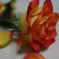 Wishing Moon by Michael O. Tunnell | Goodreads